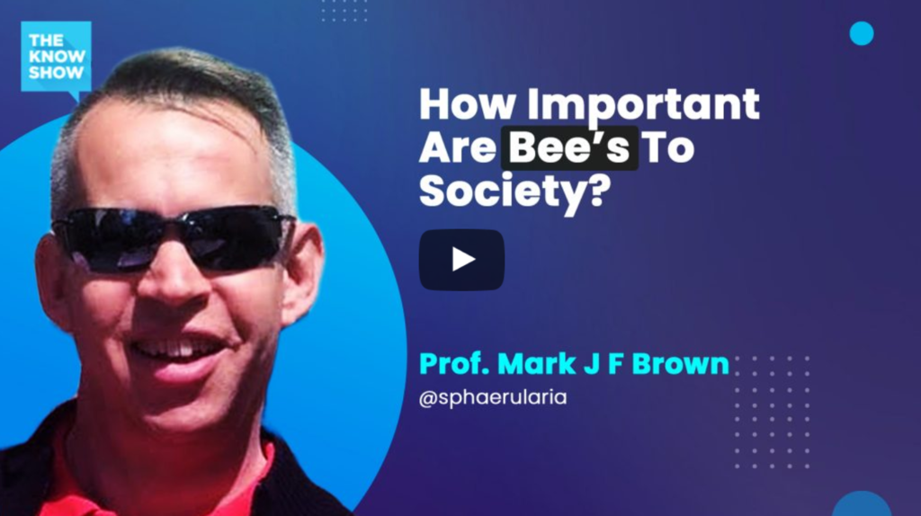 PoshBee - PoshBee coordinator Prof. Mark Brown talks about bee health ...