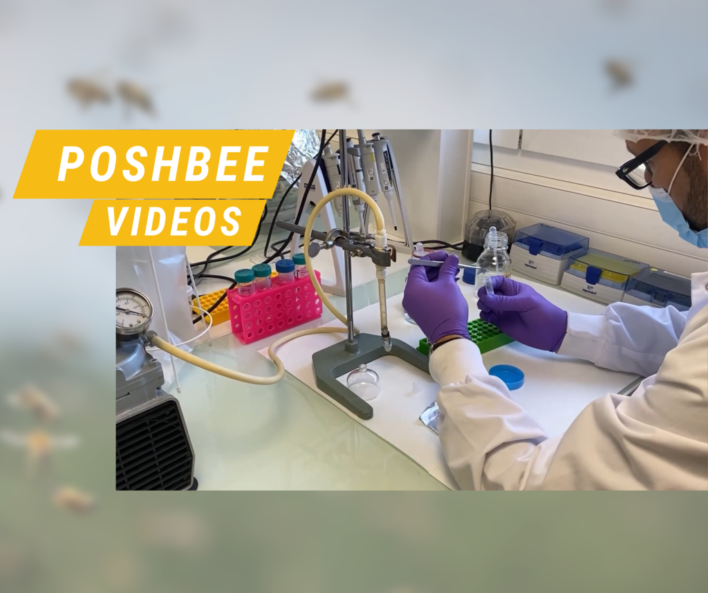 PoshBee - New PoshBee video: monitor peptide changes in honey bee ...